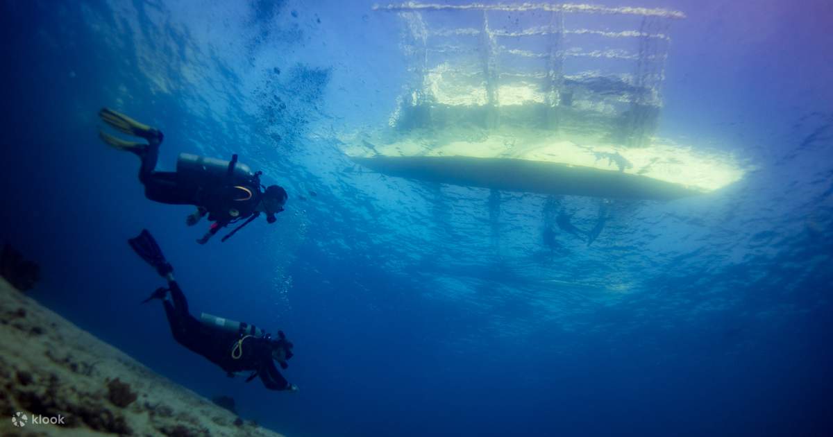 潜入冒险:padi 与 Padi 5 星级 Cdc 一起探索马拉帕斯加水肺潜水 Klook客路